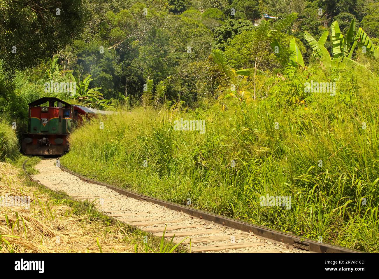 Train from Ella to Kandy among the jungle and mountains. Sri Lanka ...