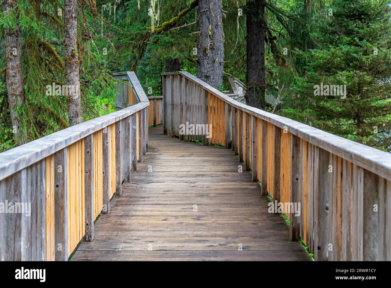Elevated wooden walkway hi-res stock photography and images - Alamy