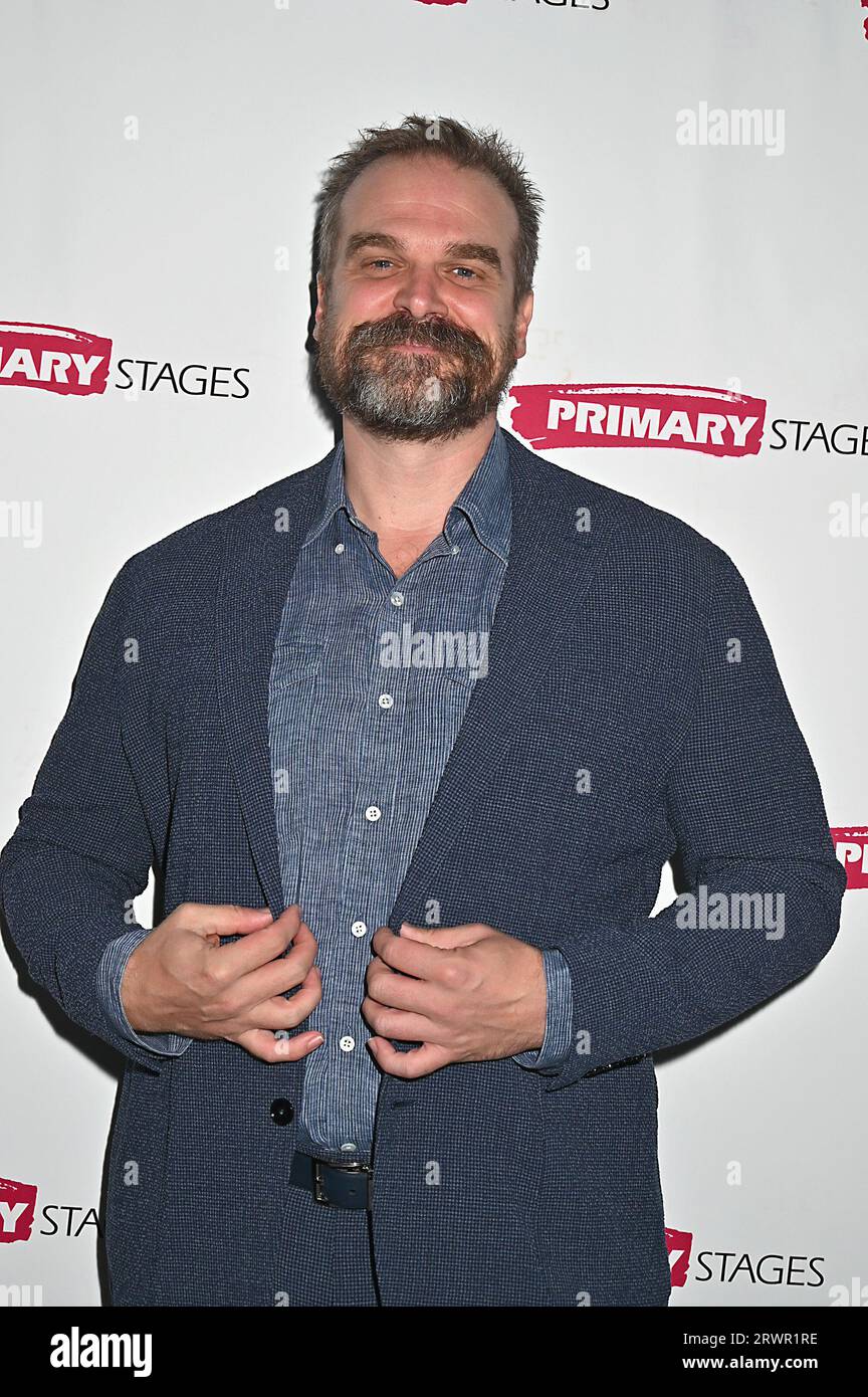 David Harbor attends the "DIG" opening night at Primary Stages at 59E59 ...