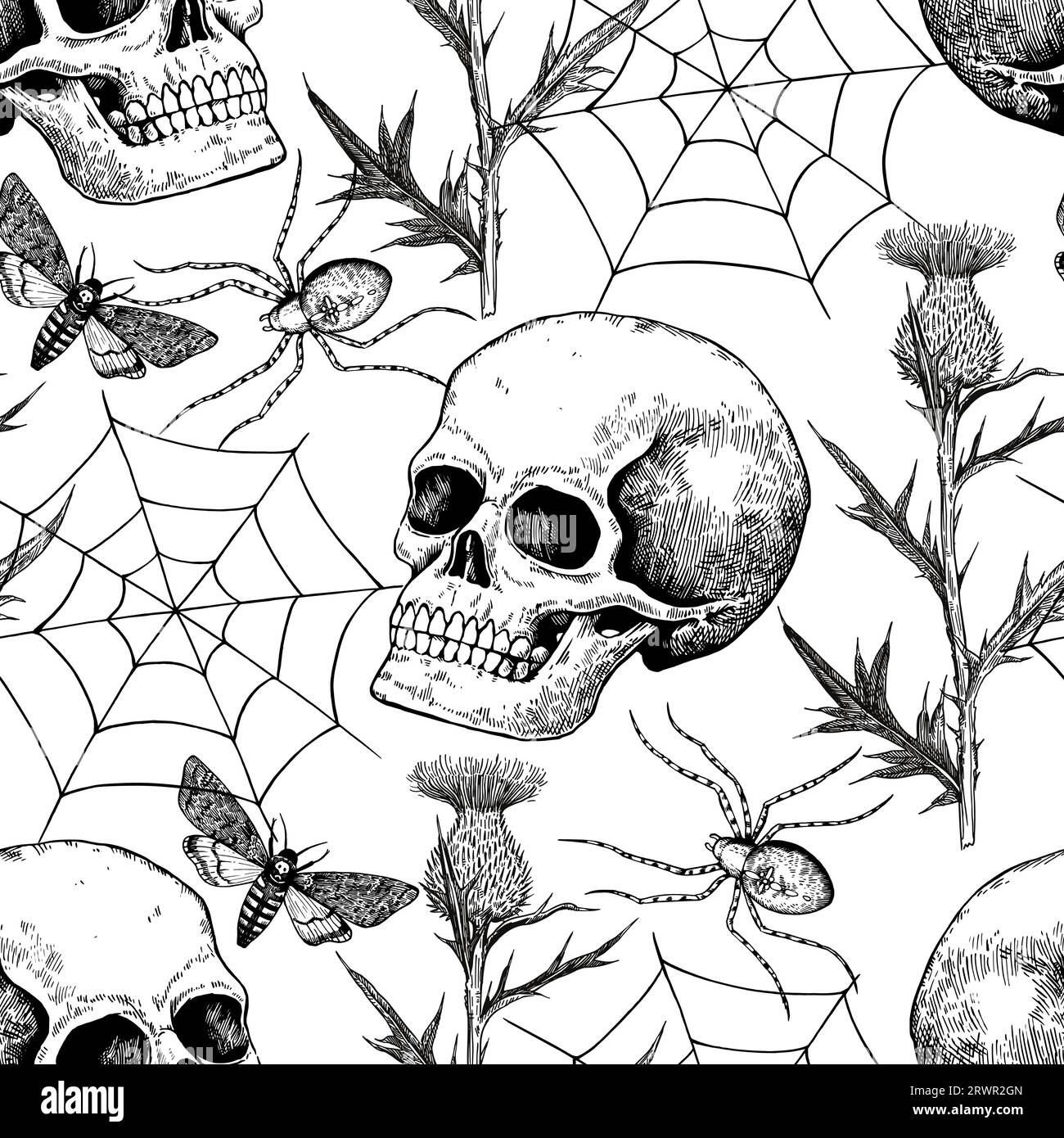 Spider Web Skull Art