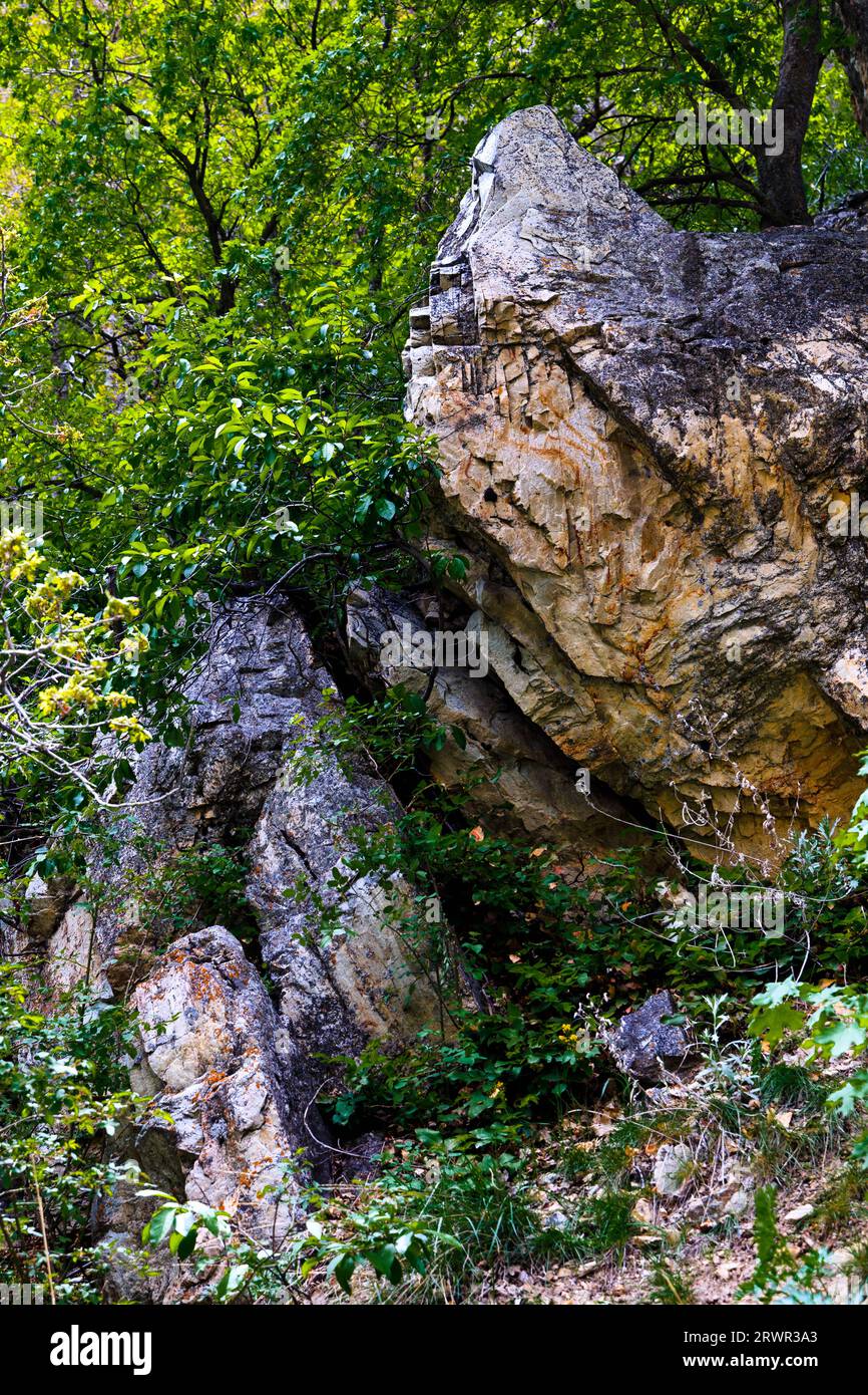 yellow and grey rocks, rock canyon utah Stock Photo - Alamy