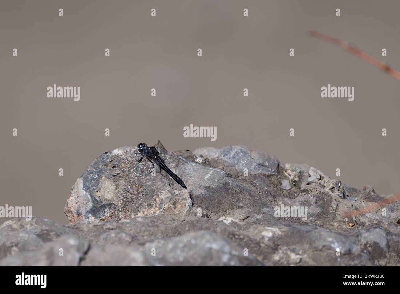 Perched rock sand stone hi-res stock photography and images - Alamy