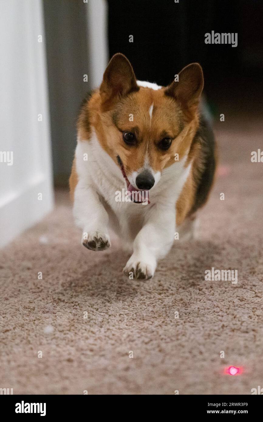 Laser run hi-res stock photography and images - Alamy
