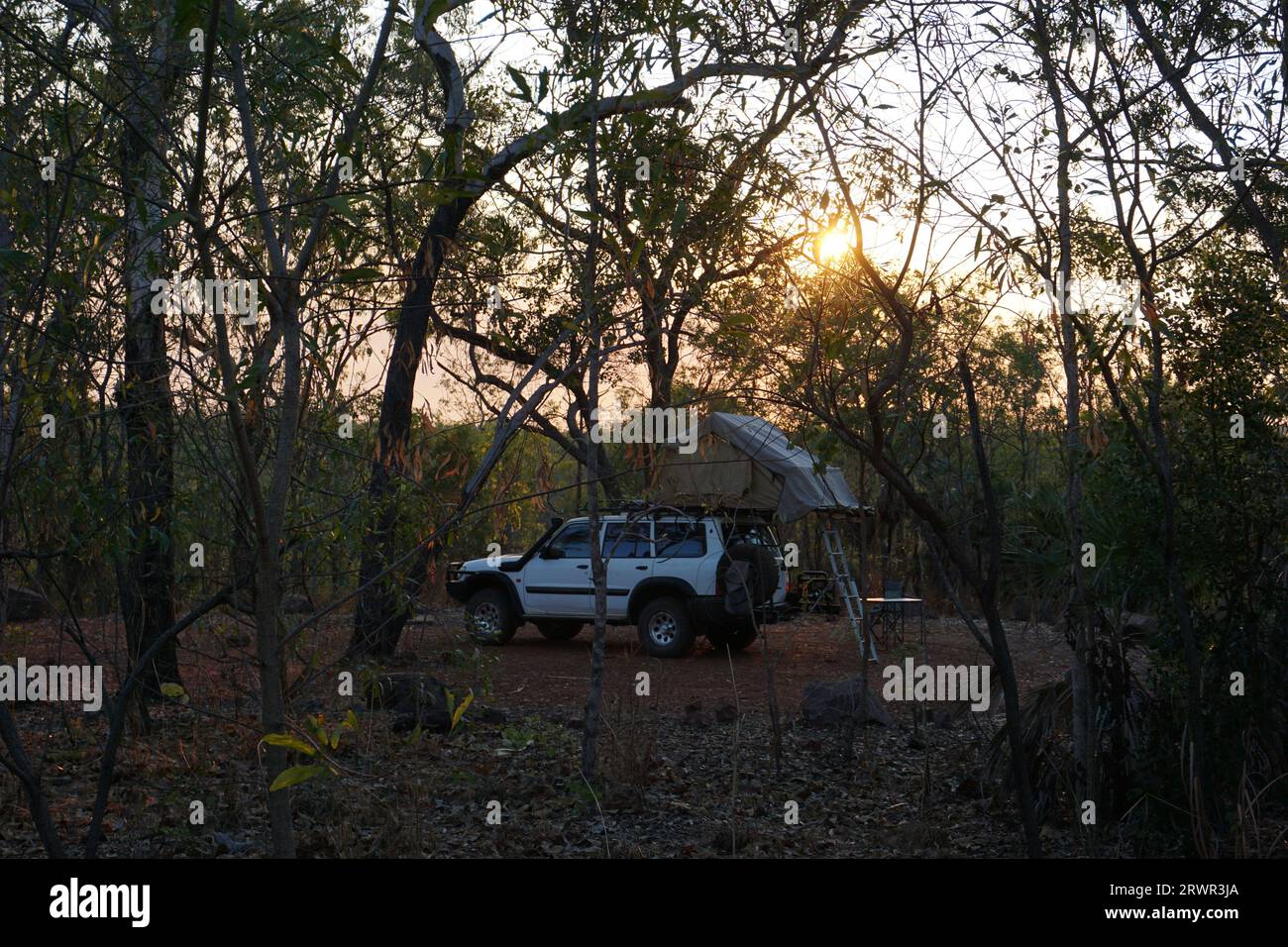 a car with a rooftop tent on a bush camp site seen through trees with ...