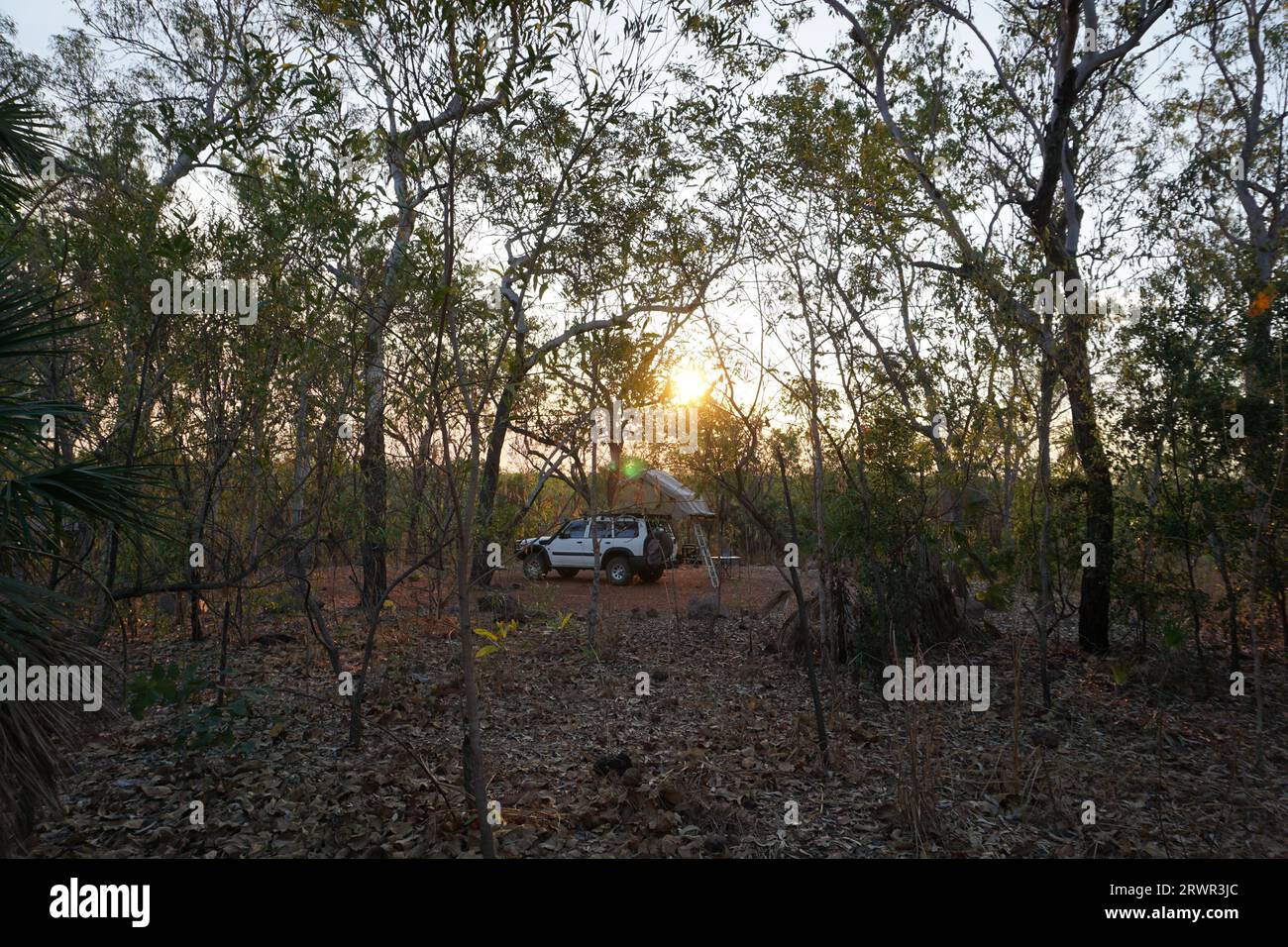 a car with a rooftop tent on a bush camp site seen through trees with ...