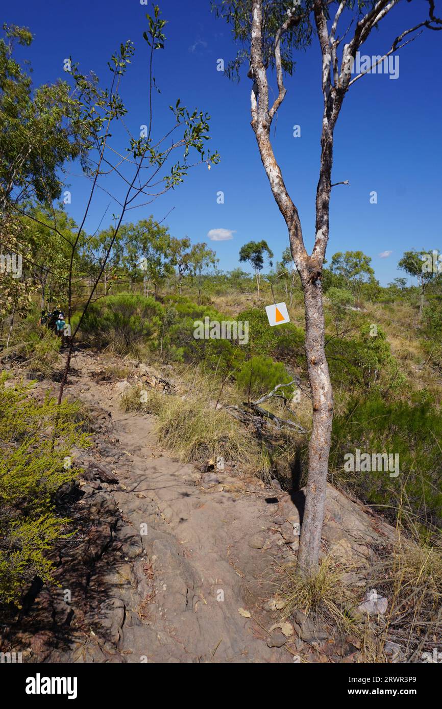 orange directional sign or arrow hanging from a tree on a desert hiking ...