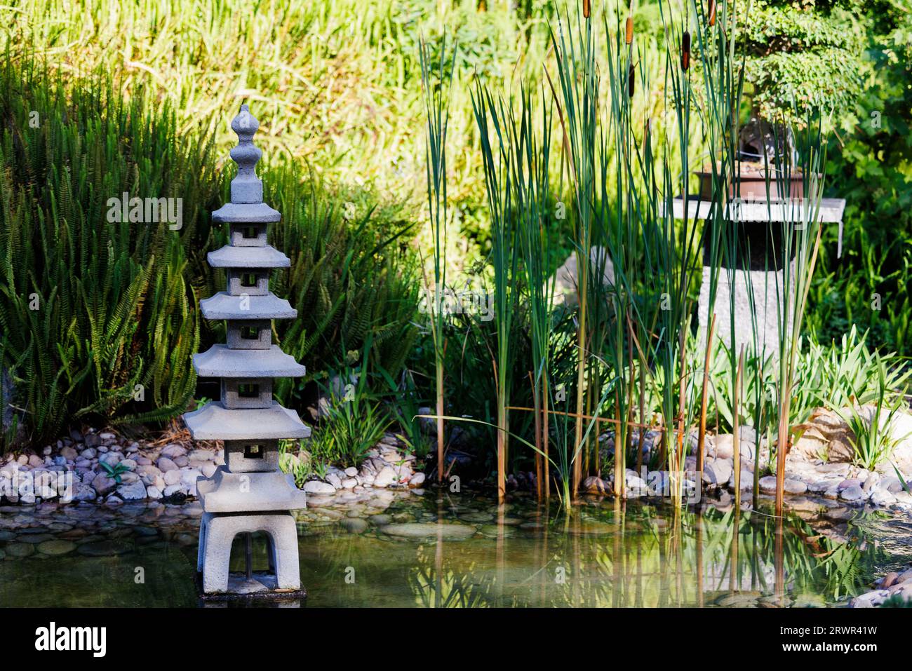 pagoda statue and cat tails sitting in a shaded pond Stock Photo - Alamy