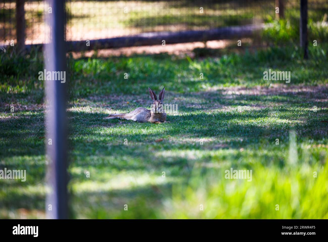 Grassy enclosure hi-res stock photography and images - Alamy