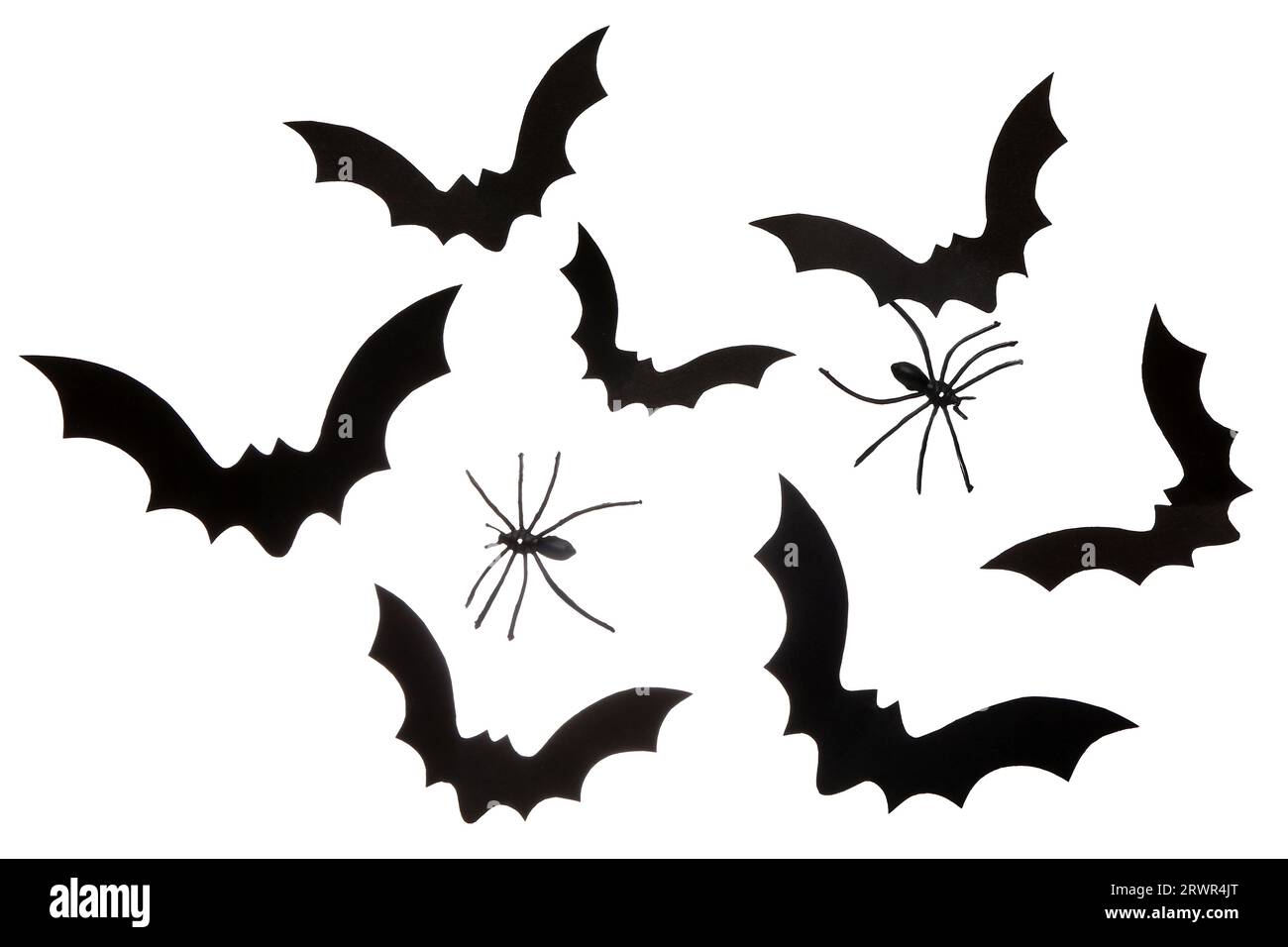 Paper bats and spiders for Halloween party on white background Stock ...