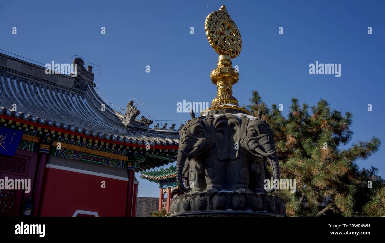 See no eval hi-res stock photography and images - Alamy