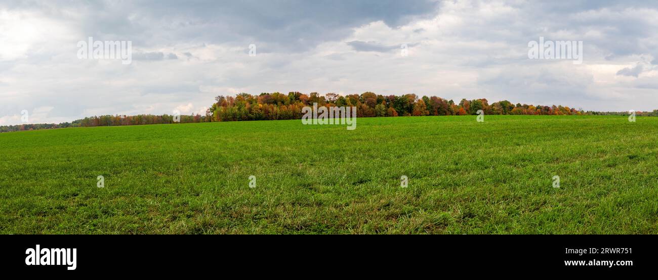 Wisconsin farmland and trees starting to change color in September ...