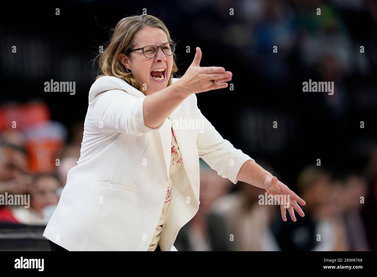 Minnesota Lynx head coach Cheryl Reeve yells during the second half of ...