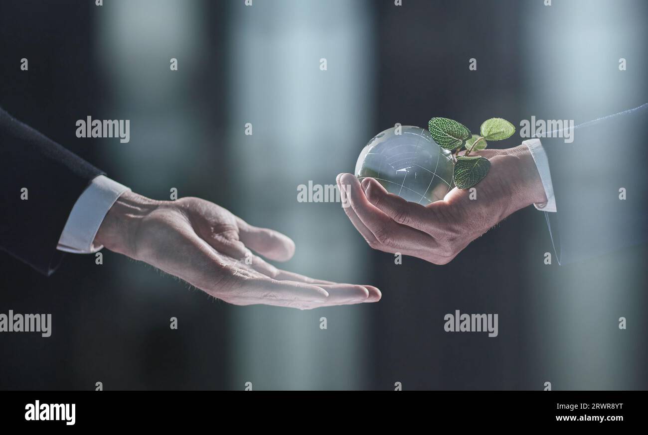 Plabt Growing inside a Sphere - Hand Holding - Eco Concept Stock Photo ...