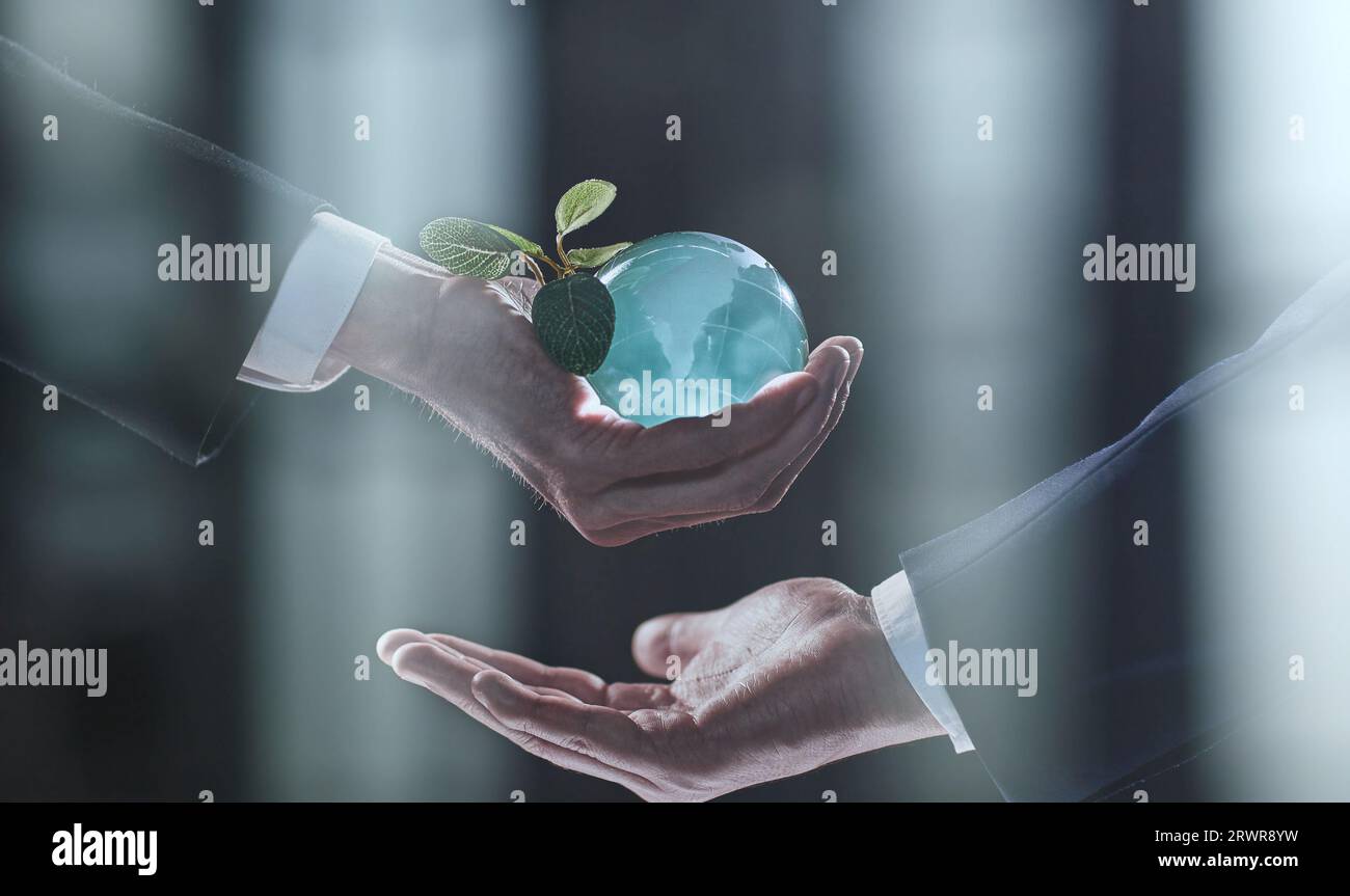 Plabt Growing inside a Sphere - Hand Holding - Eco Concept Stock Photo ...
