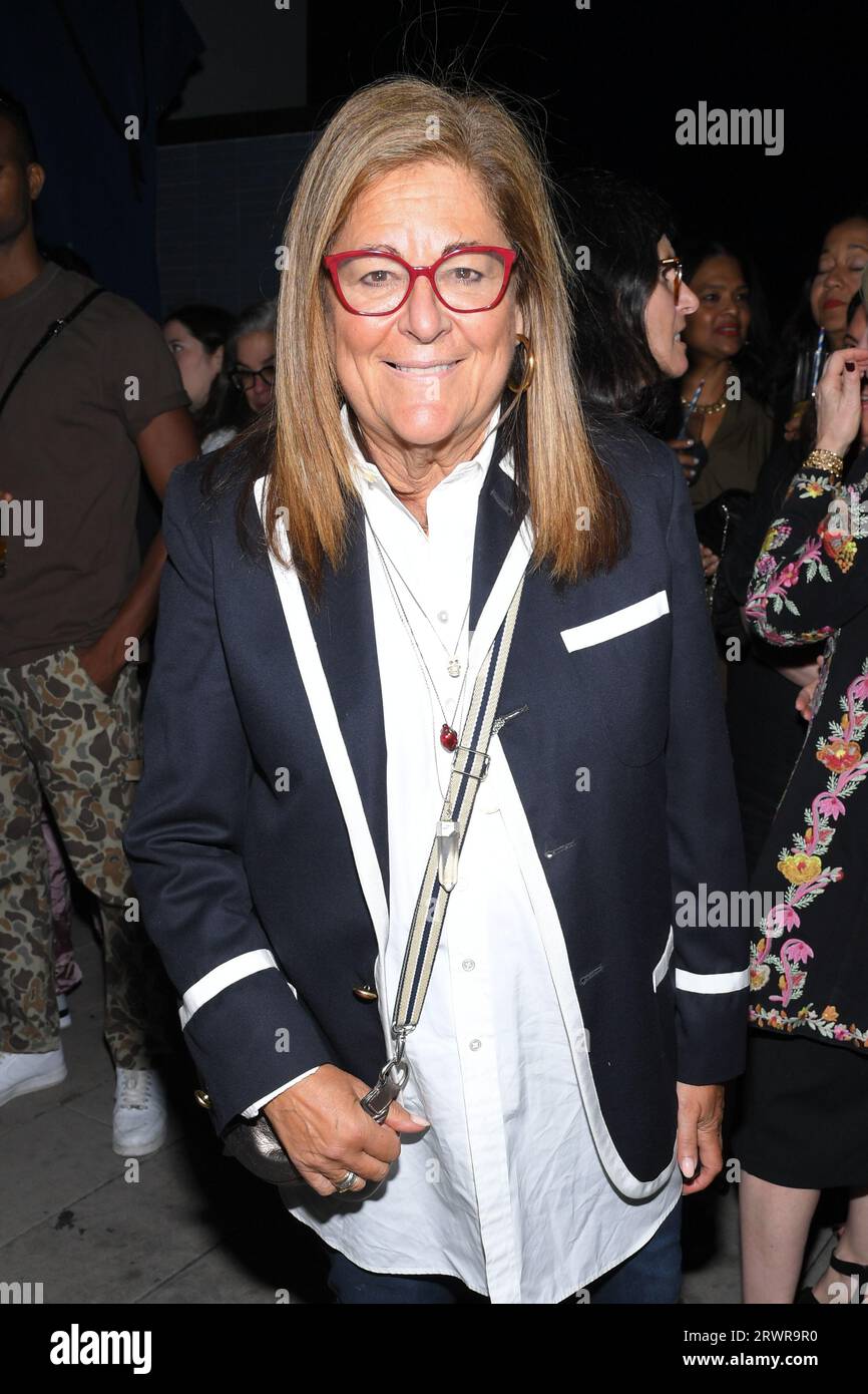 New York, USA. 20th Sep, 2023. Fern Mallis attending the 'Jamaica Vibes ...