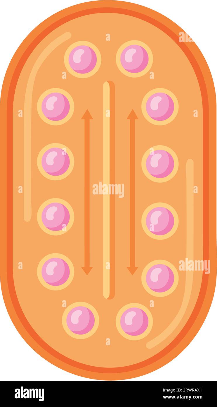 birth control pills pack illustration vector isolated Stock Vector ...