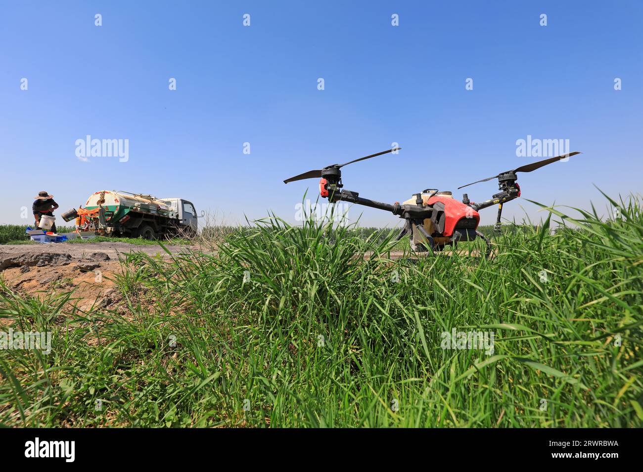 Plant protection UAV in the field, North China Plain Stock Photo - Alamy