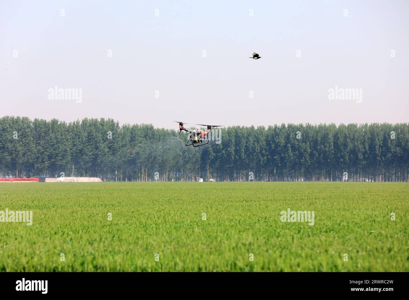Plant protection uavs hi-res stock photography and images - Alamy