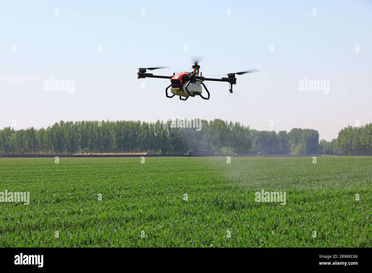 farmers use plant protection UAVs to spray pesticides on wheat, North ...