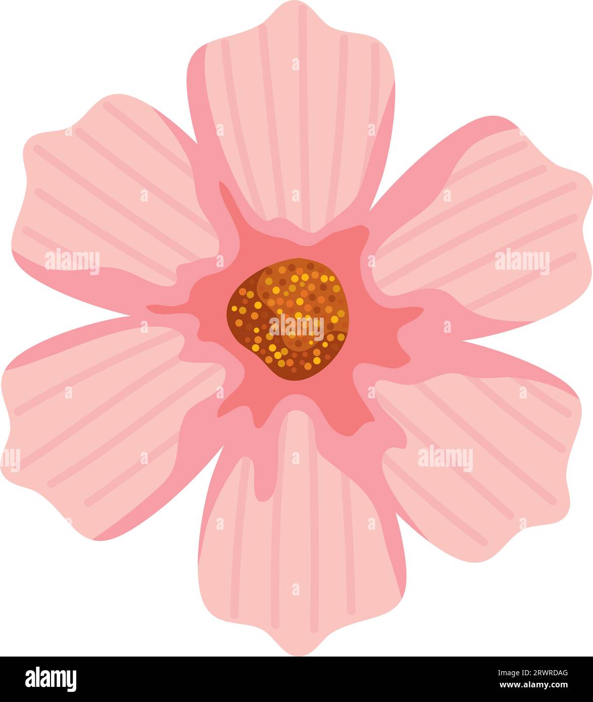 flower pink color Stock Vector Image & Art - Alamy