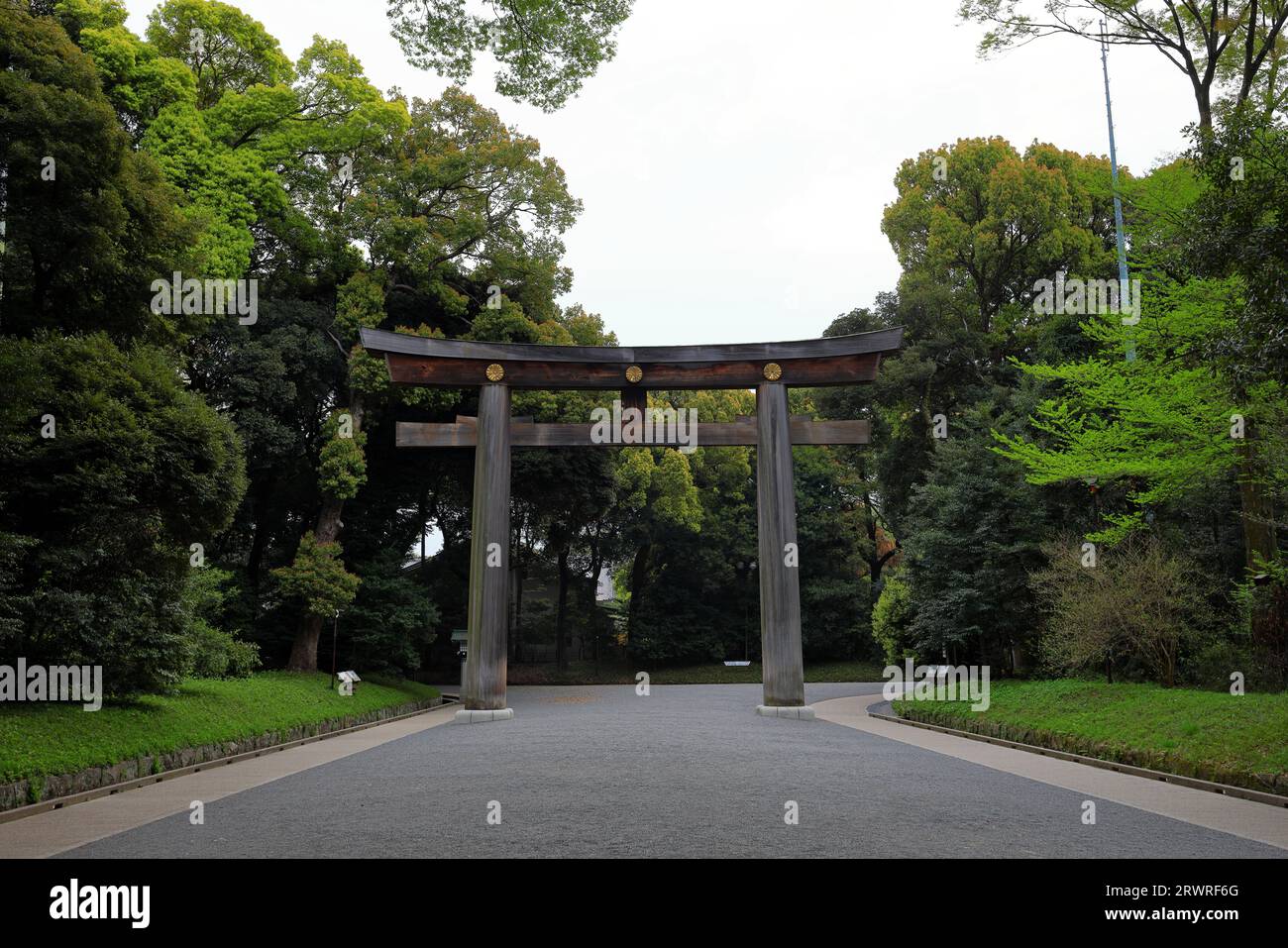 Meiji Jingu (Shinto shrine surrounded by forest) in Shibuya City, Tokyo ...