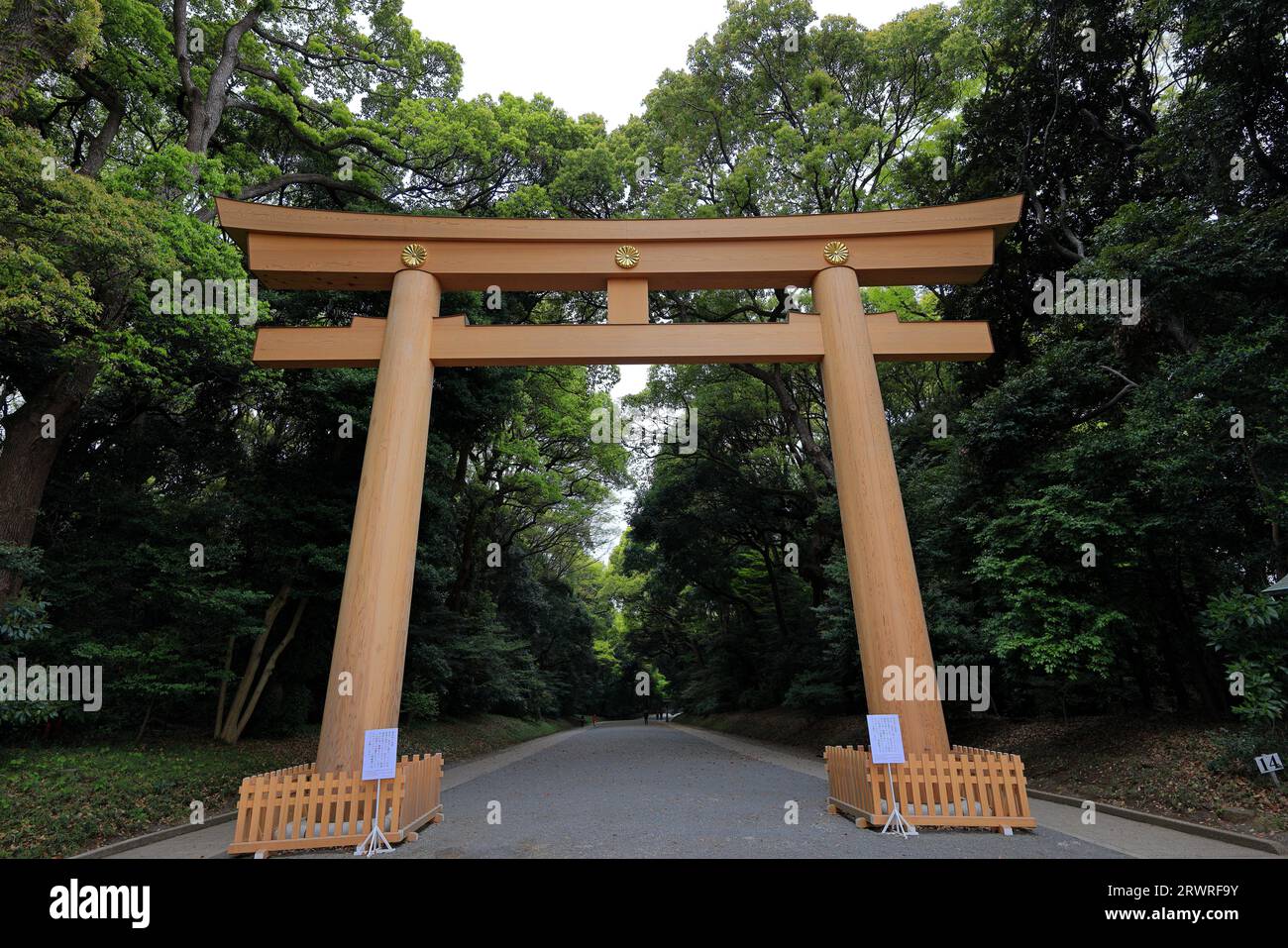 Meiji Jingu (Shinto shrine surrounded by forest) in Shibuya City, Tokyo ...