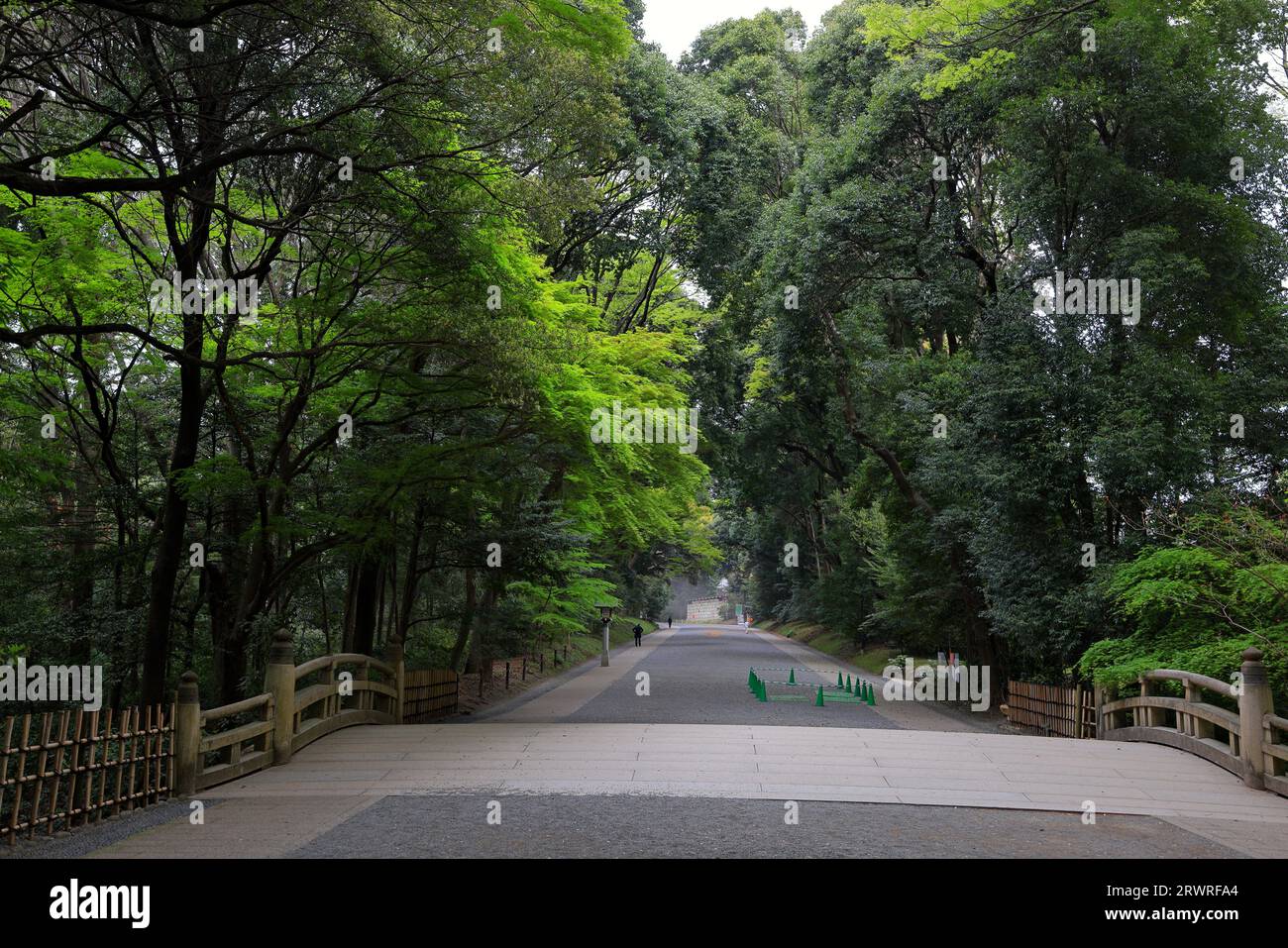 Meiji Jingu (Shinto shrine surrounded by forest) in Shibuya City, Tokyo ...
