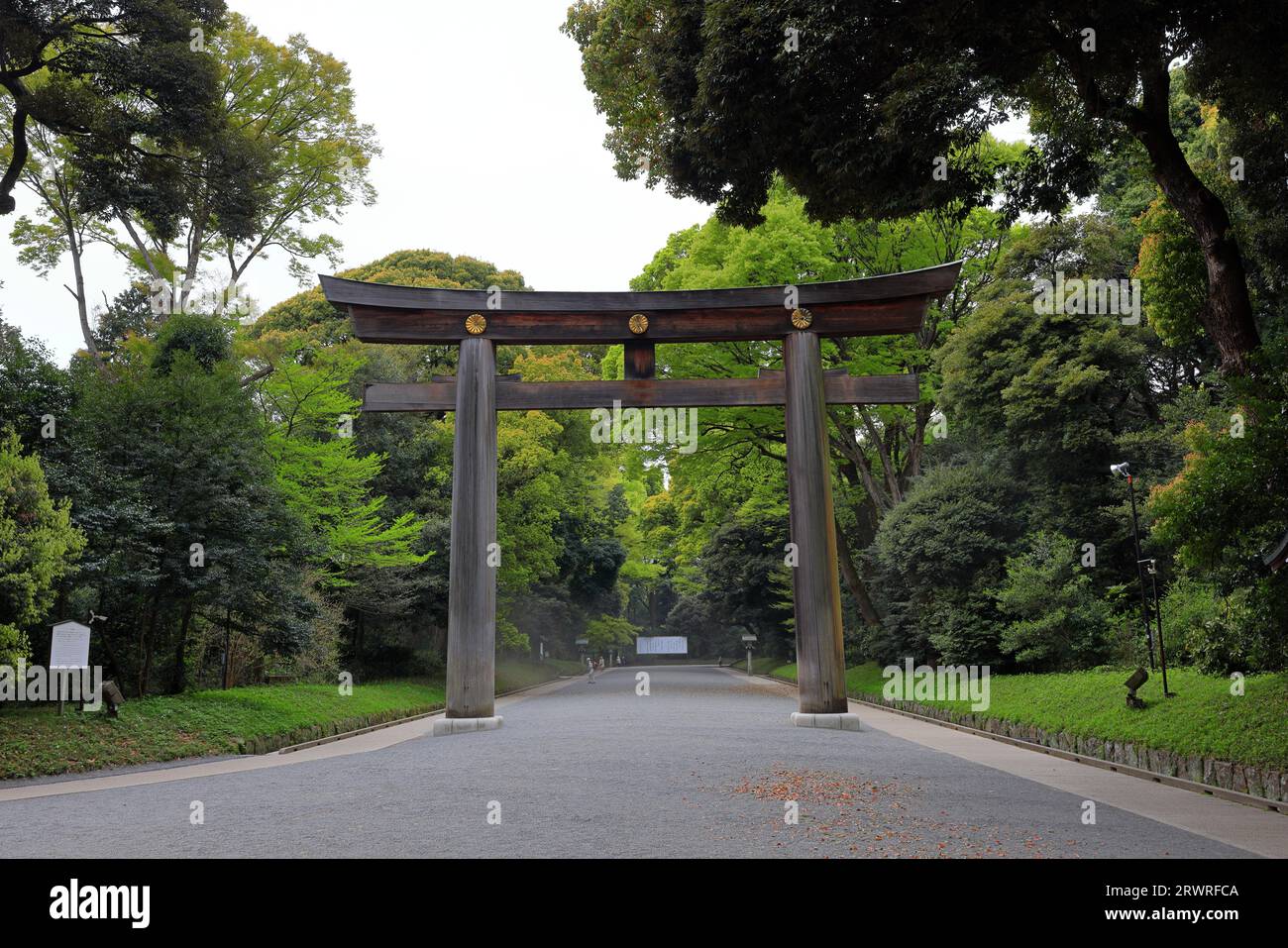 Meiji Jingu (Shinto shrine surrounded by forest) in Shibuya City, Tokyo ...