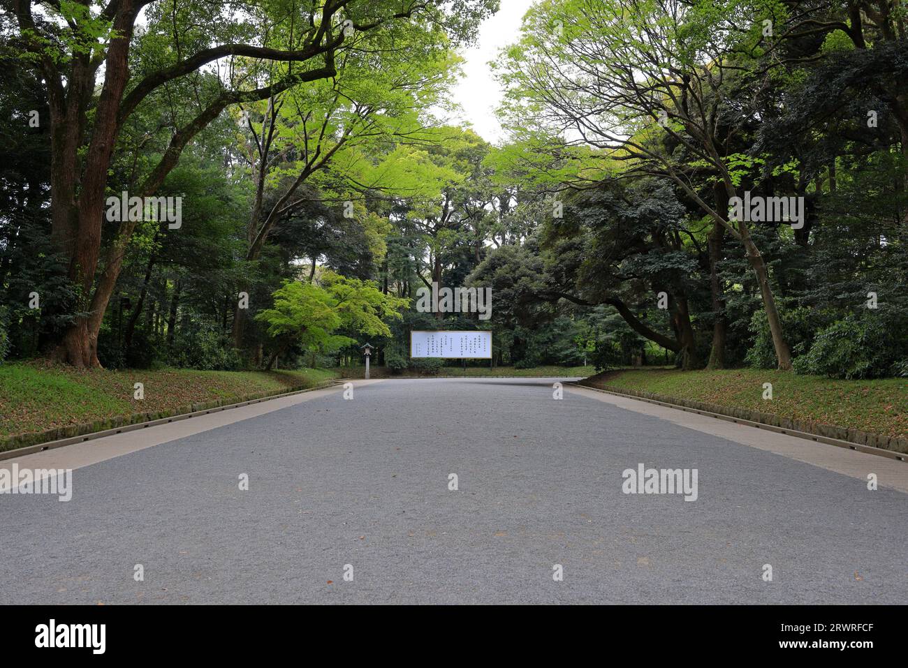 Meiji Jingu (Shinto shrine surrounded by forest) in Shibuya City, Tokyo ...