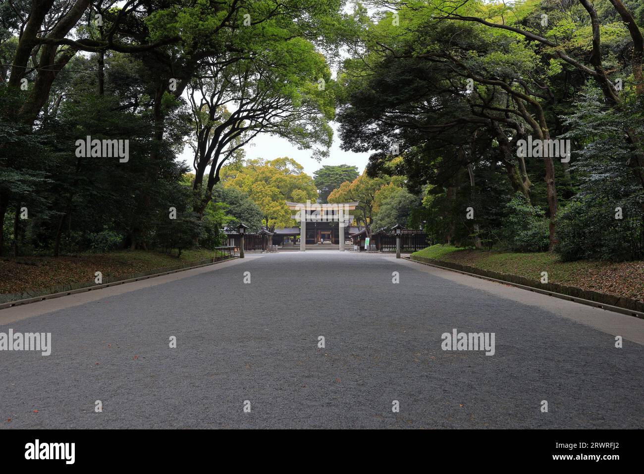 Meiji Jingu (Shinto shrine surrounded by forest) in Shibuya City, Tokyo ...