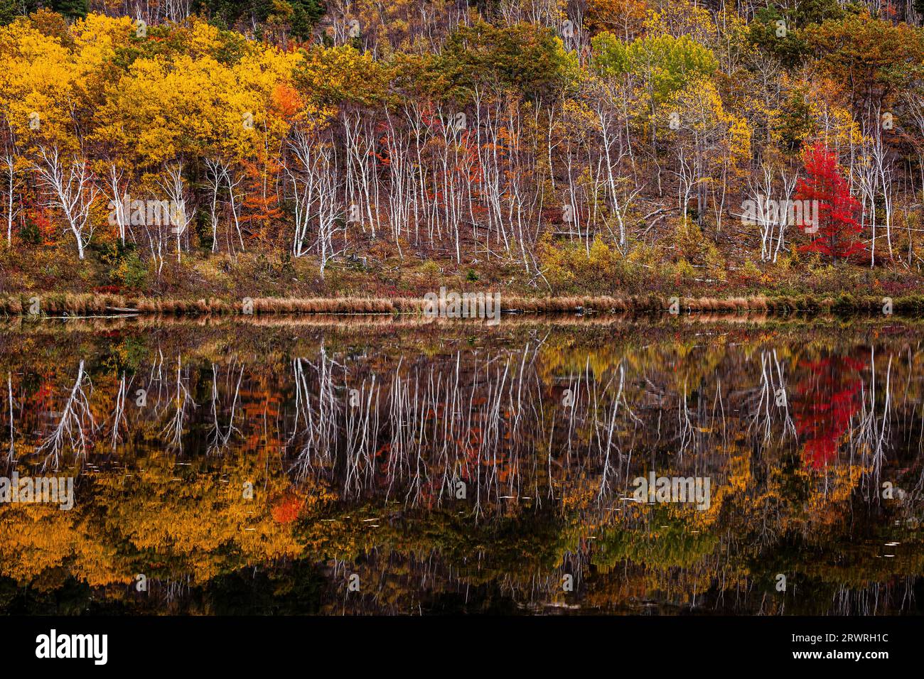 Fall Upper Hadlock Pond Acadia National Park Mount Desert Island, Maine ...