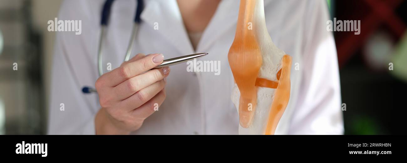 Rheumatologist points anatomical model hi-res stock photography and ...