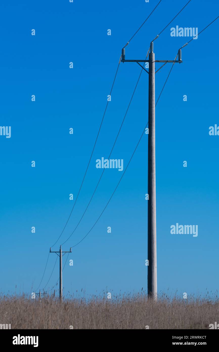 Abstract electricity power lines and poles isolated view with a blue ...