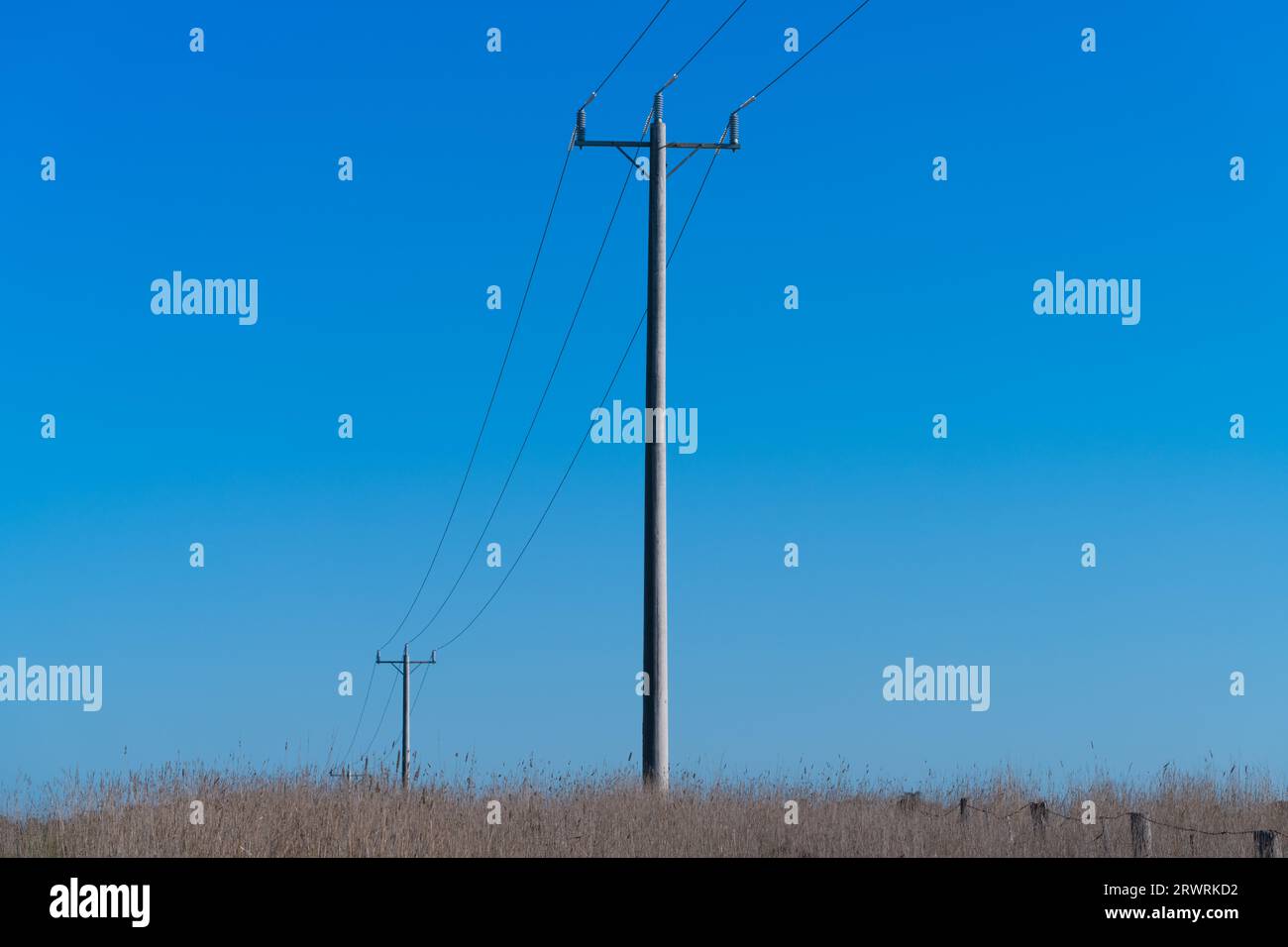 Abstract electricity power lines and poles isolated view with a blue ...