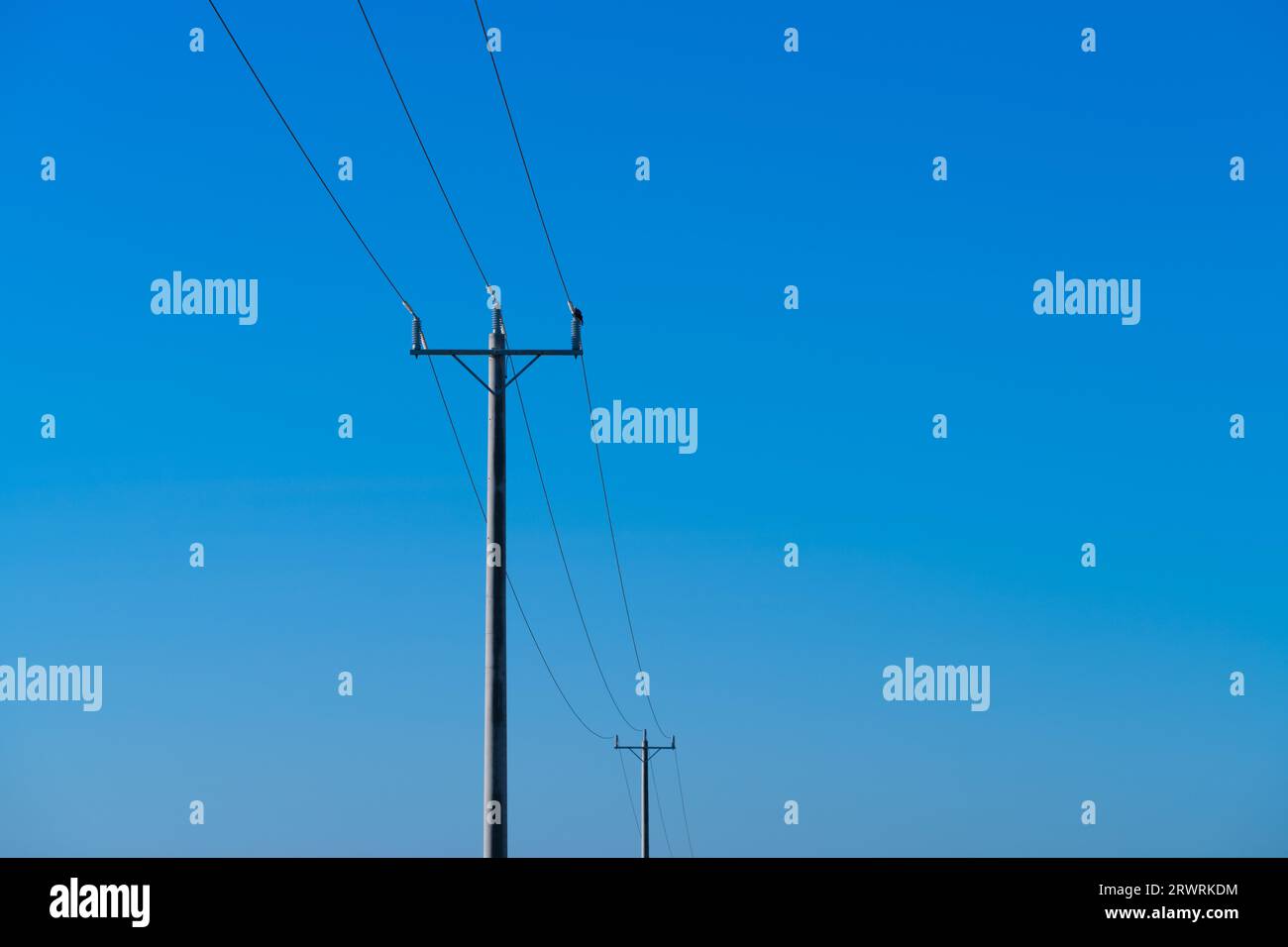 Abstract electricity power lines and poles isolated view with a blue ...