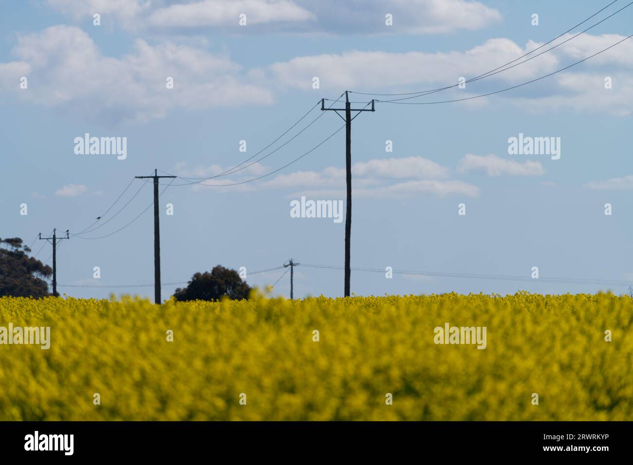 Abstract electricity power lines and poles isolated view with a cloudy ...
