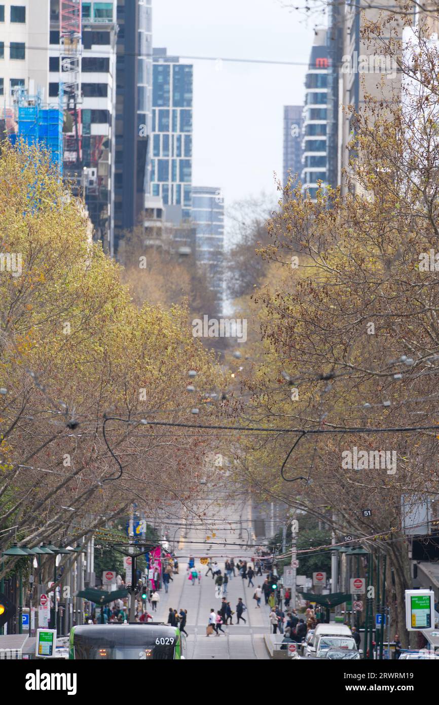 Busy city street with trees, people, movement and infrastructure, with ...