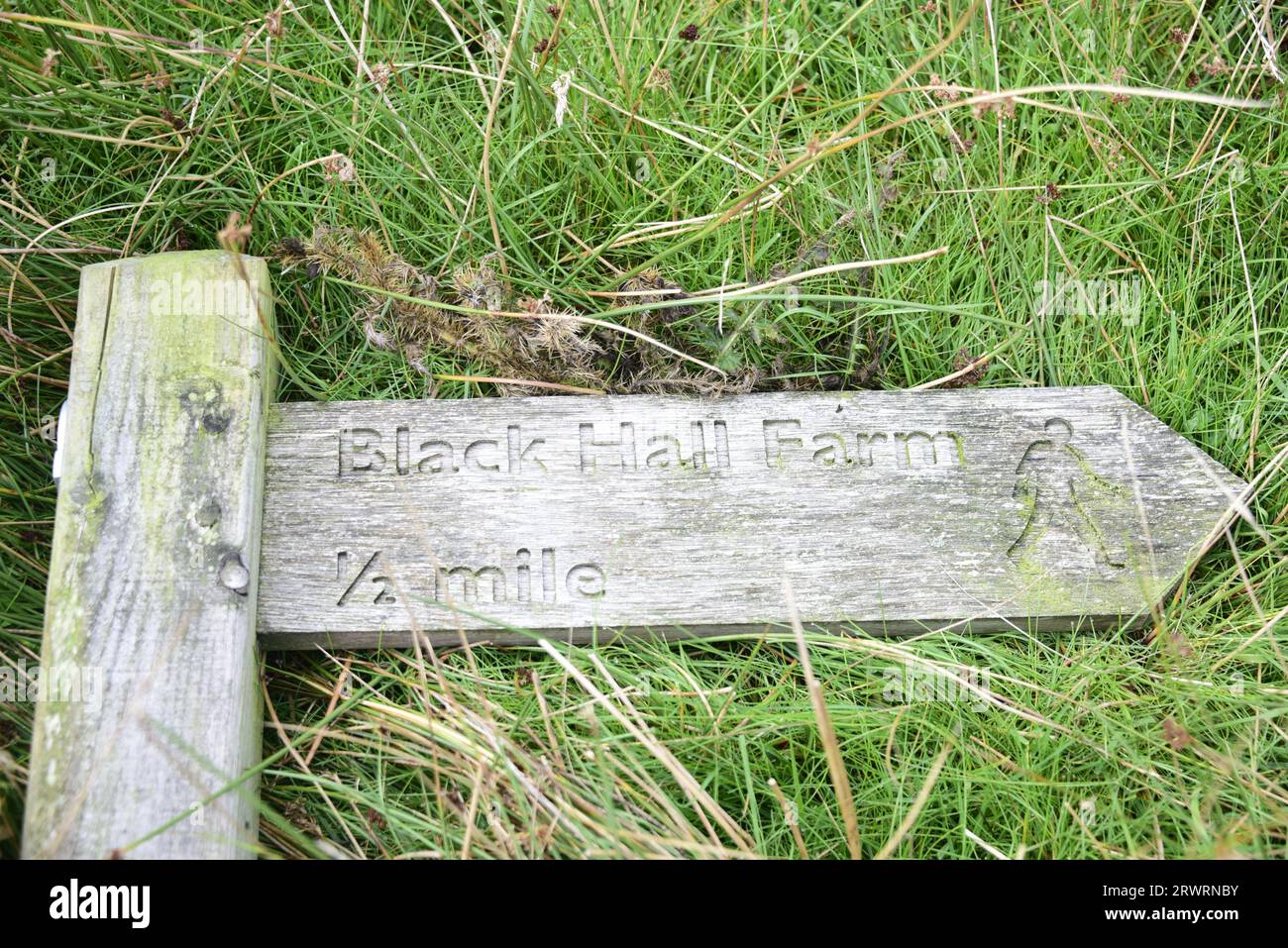 Blackhall farm hi-res stock photography and images - Alamy