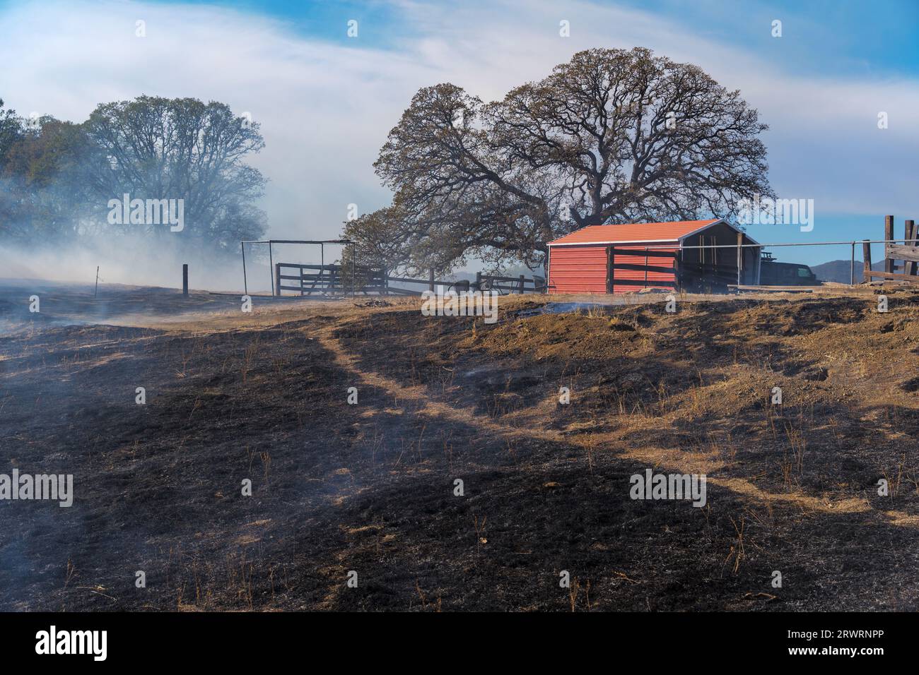 Wildland fire branch hi-res stock photography and images - Alamy