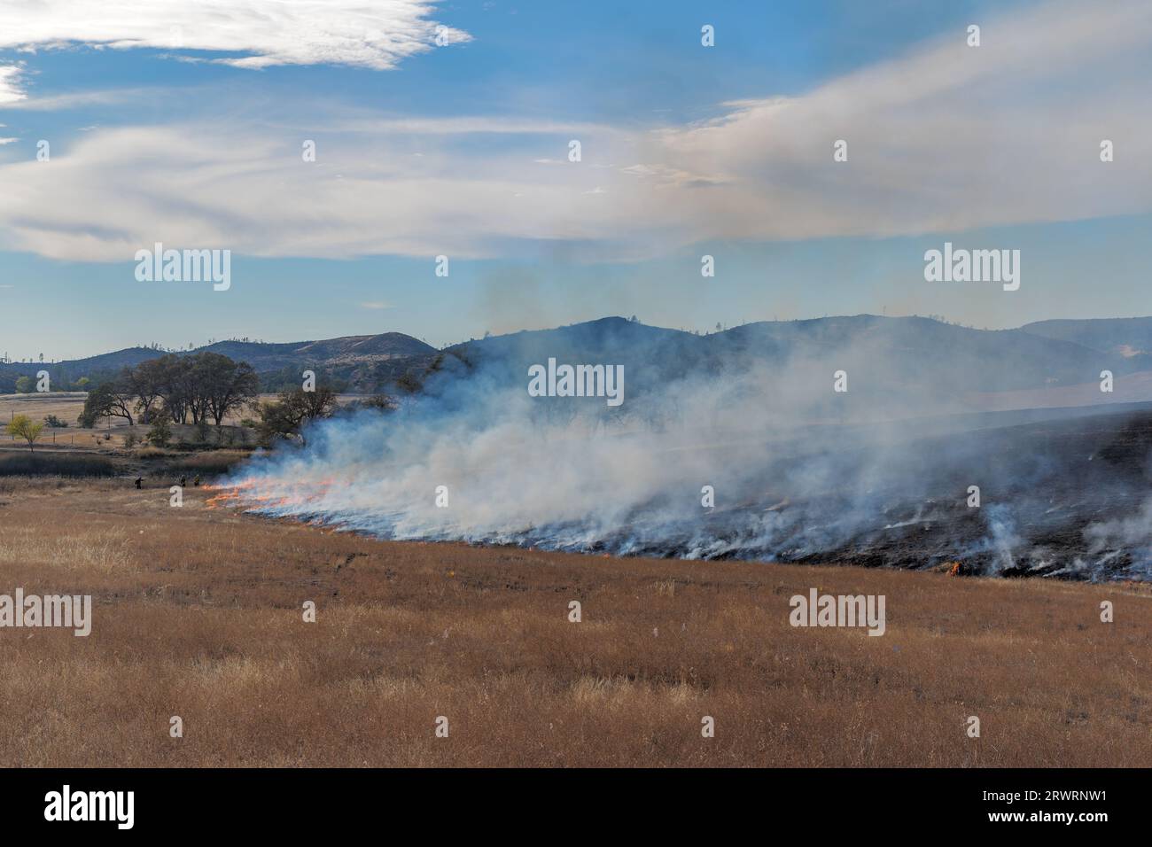 Control burn hi-res stock photography and images - Alamy