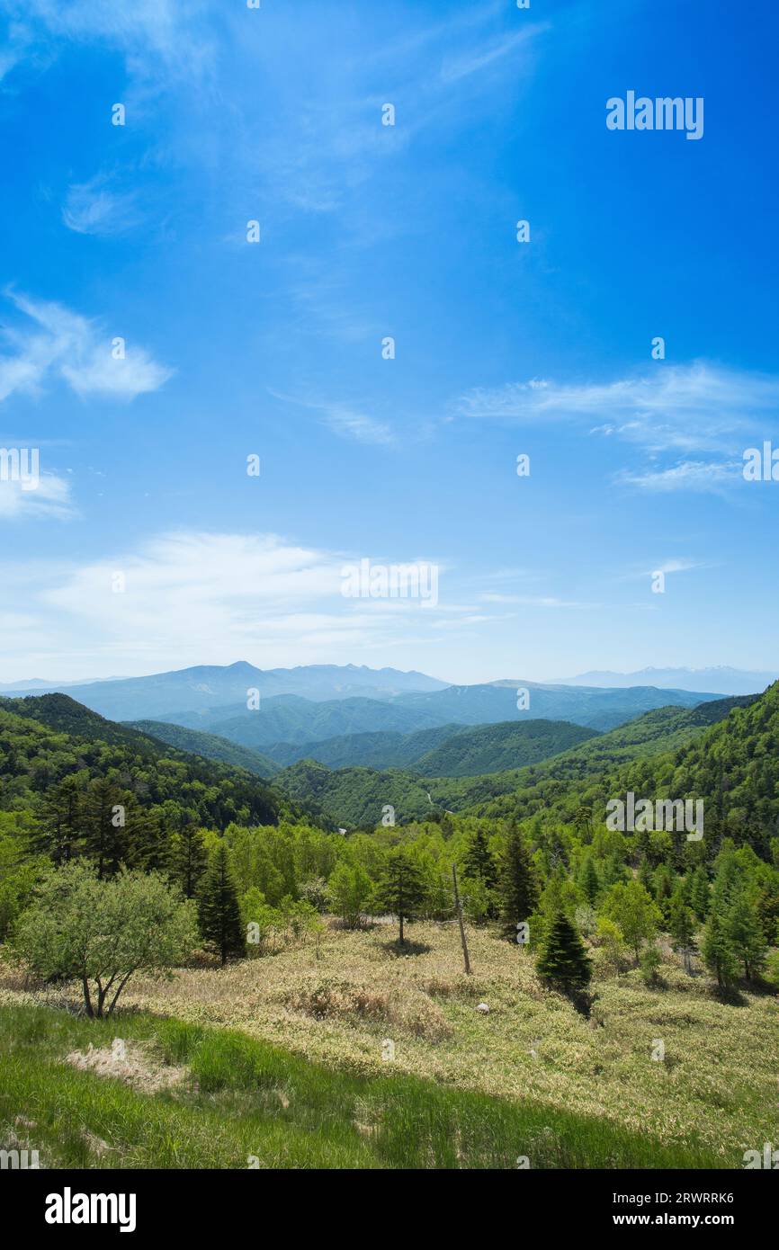 Tateshina and Yatsugatake mountain range from Utsukushi-ga-hara Plateau ...