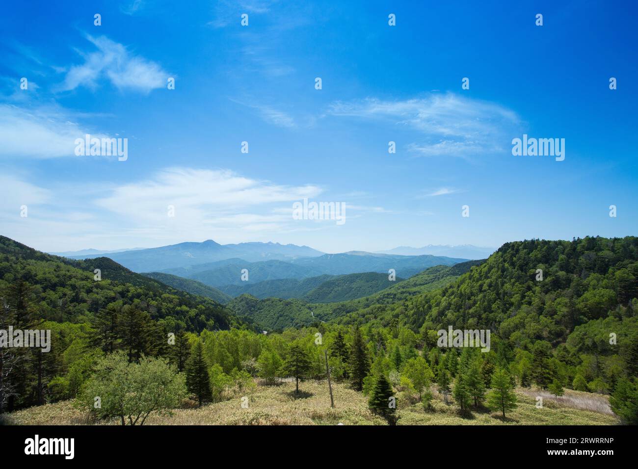 Tateshina and Yatsugatake mountain range from Utsukushi-ga-hara Plateau ...