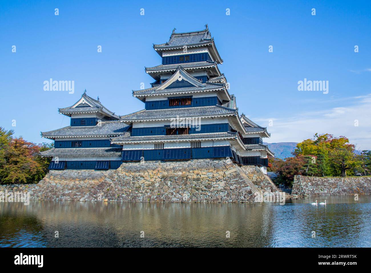 Matsumoto Castle and a swan on the inner moat Stock Photo - Alamy