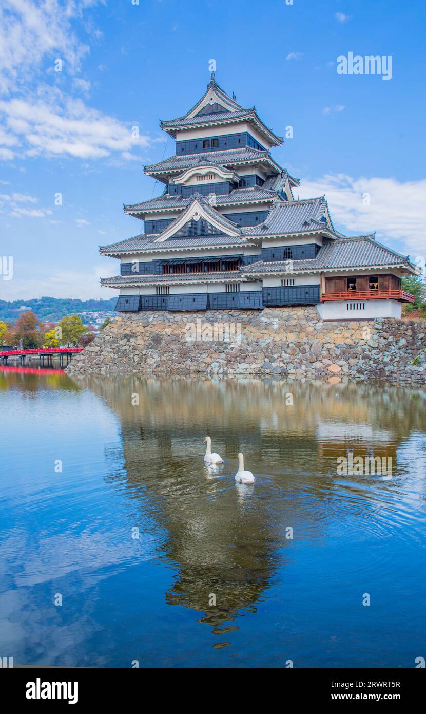 Matsumoto Castle and a swan on the inner moat Stock Photo - Alamy