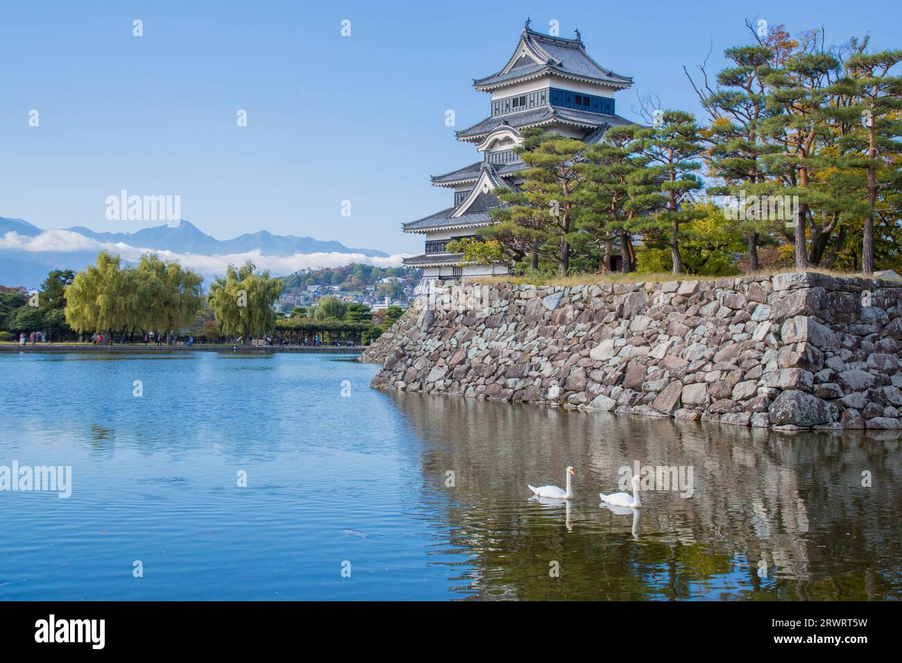 Matsumoto Castle and a swan on the inner moat Stock Photo - Alamy