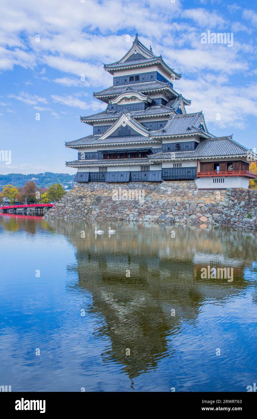 Matsumoto Castle and a swan on the inner moat Stock Photo - Alamy