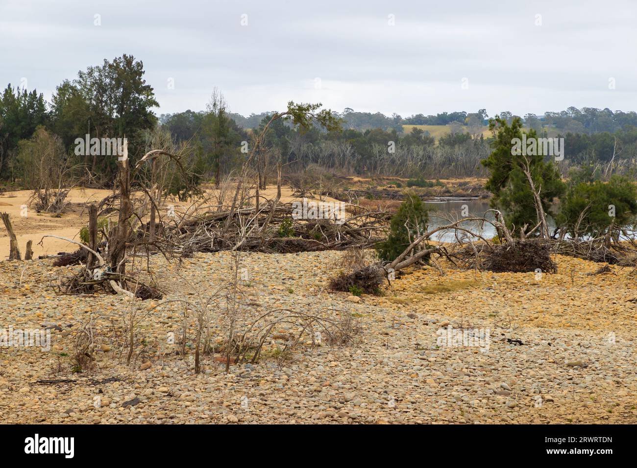 Photograph of severe flood damage in Yarramundi Reserve caused by ...