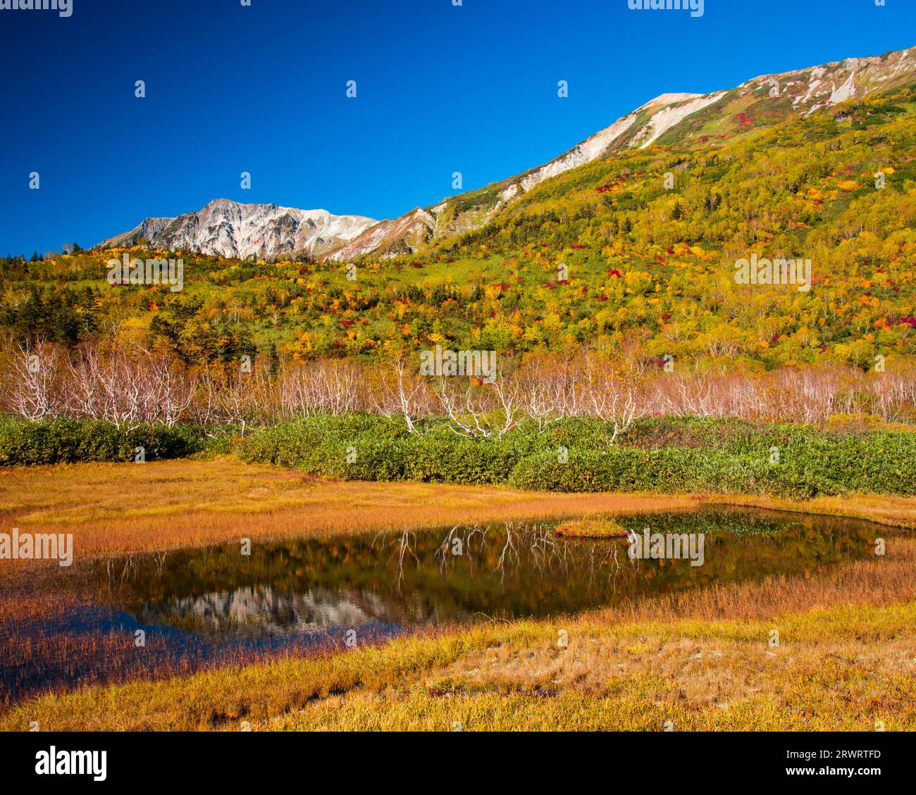 Ukishima marshland and Hakuba-sanzan in Tsugaike Nature Park in autumn ...