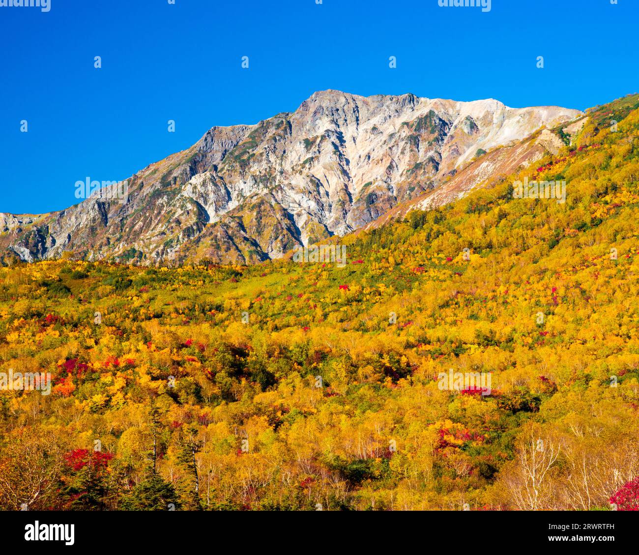 Ukishima marshland and Mt.Hakuba in Tsugaike Nature Park in autumn ...
