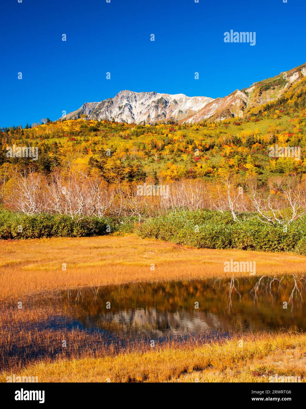 Ukishima marshland and Mt.Hakuba in Tsugaike Nature Park in autumn ...